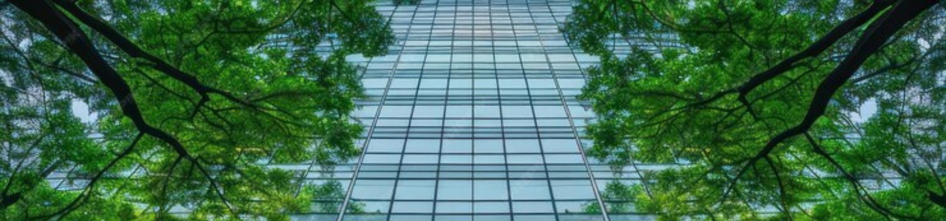 IRMSA Endorsed Courses | The Institute of Risk Management South Africa